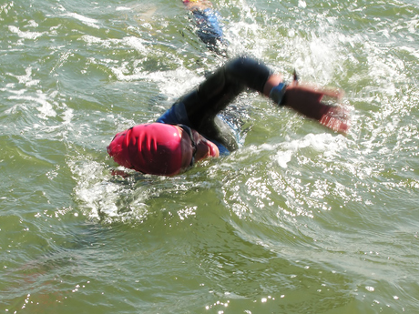 7 Open Water Swimming Tips You Didn't Know