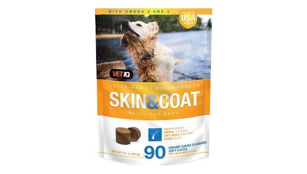The Best Dog Supplements | ACTIVE