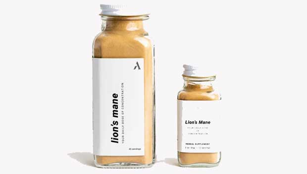 8 Best Lion's Mane Supplements 2023 | ACTIVE
