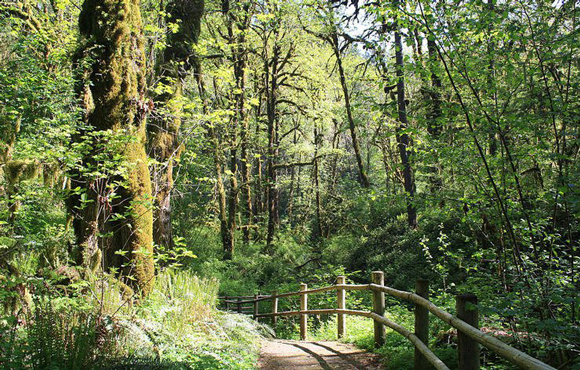 These Are 20 of the Best Running Trails in the U.S.