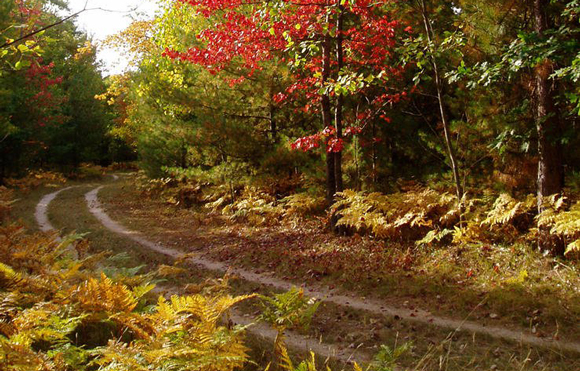 These Are 20 of the Best Running Trails in the U.S.