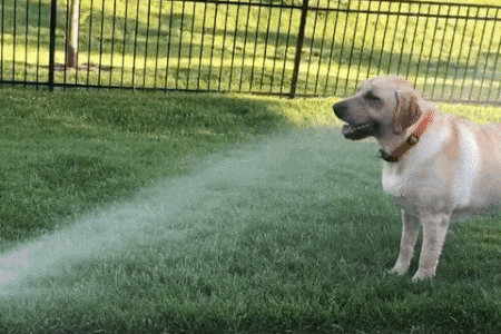 30 Reasons Summer Running Doesn't Suck