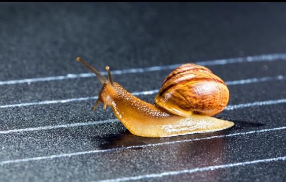 The 8 Most Embarrassing Running Scenarios